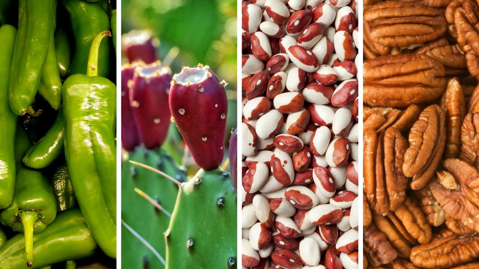 Flavors of New Mexico - Heart Of The Desert